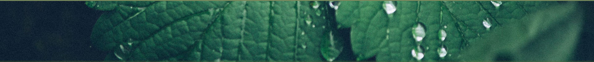 Bienvenue sur FREDON FRANCE | FREDON FRANCE